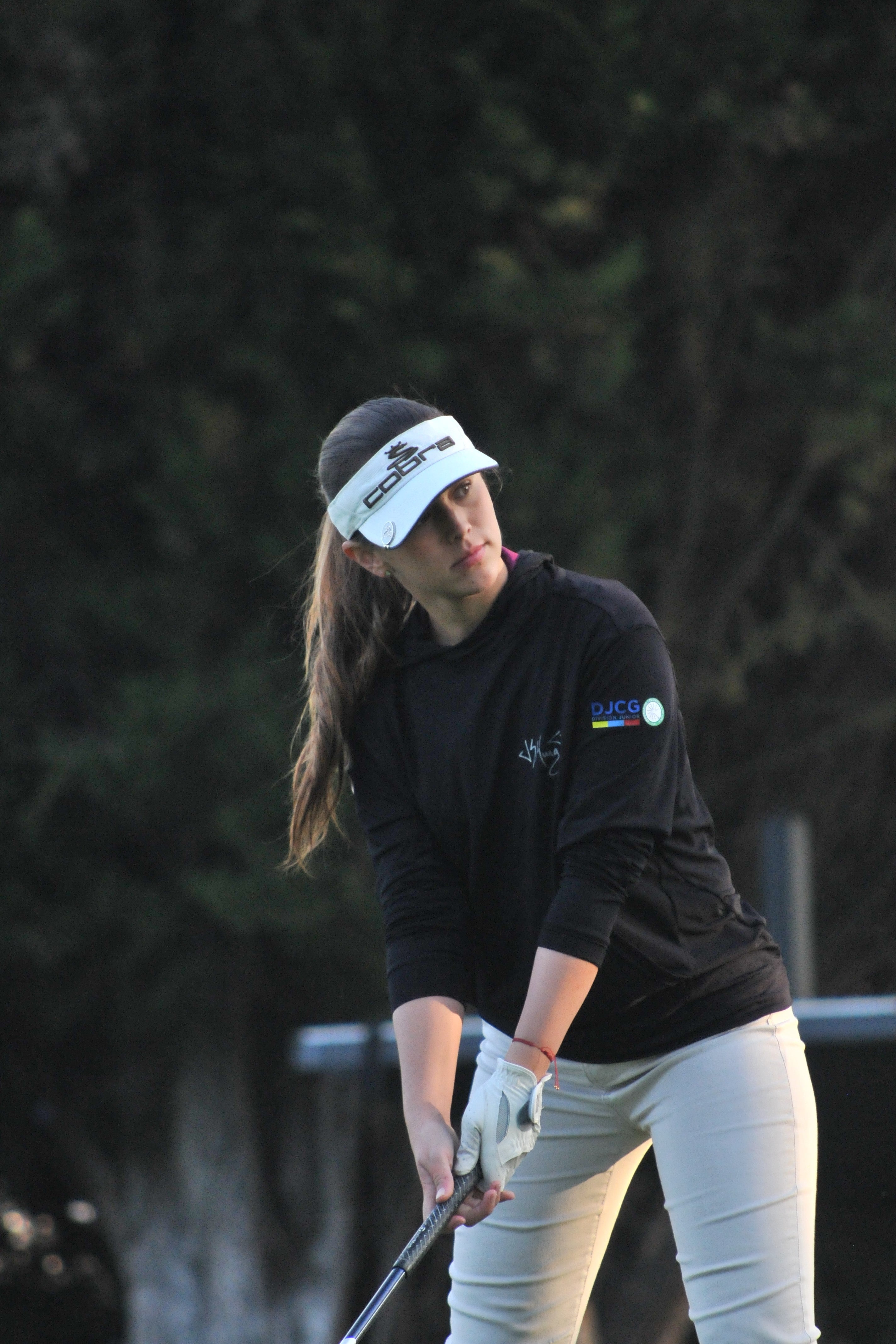 The World Amateur Golf Rankings® Wagr® The Official Mens And Women